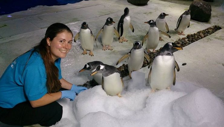What is it like to be an Aquarist? | First Careers