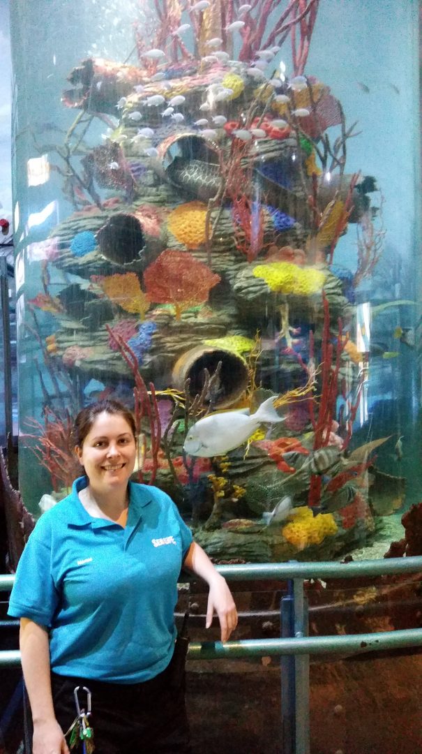 What is it like to be an Aquarist? | First Careers