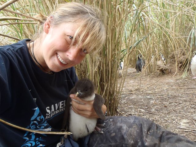 What does a Penguinologist do? | First Careers